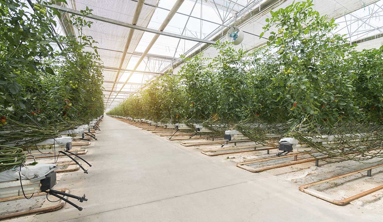 Equipment and technology | Gonvarri AgroTech