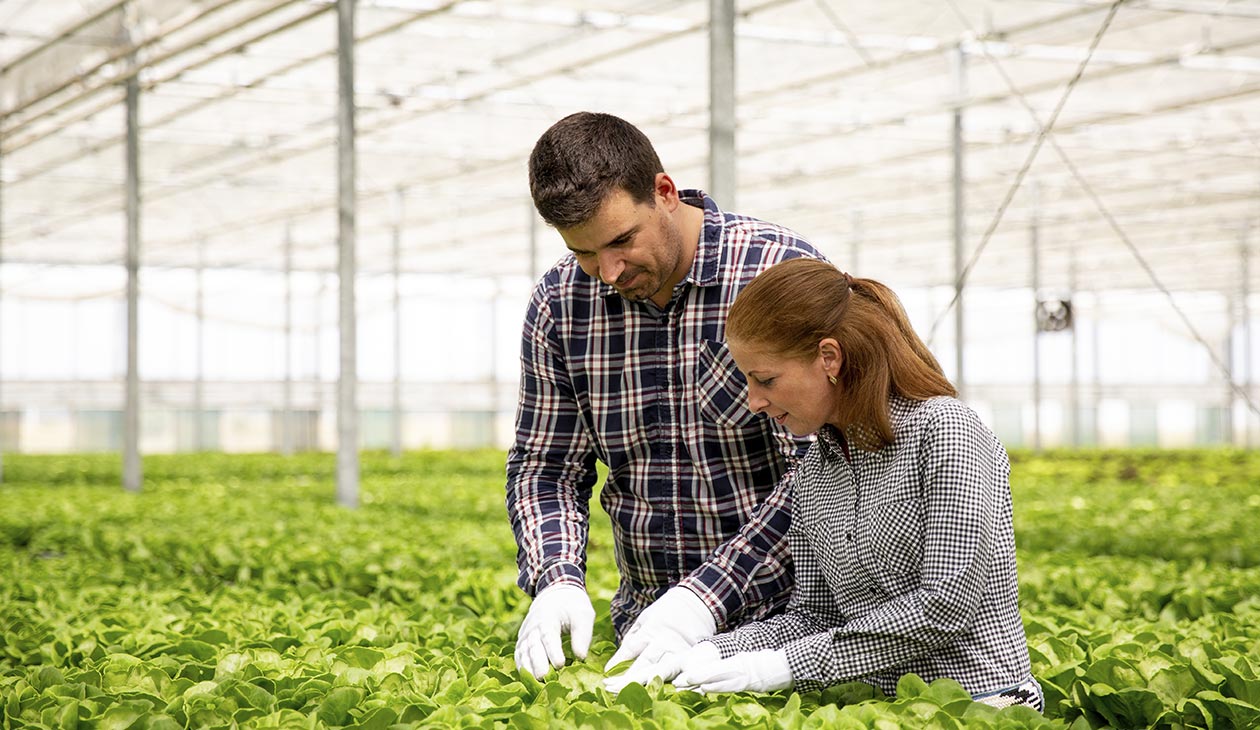 Services | Gonvarri AgroTech